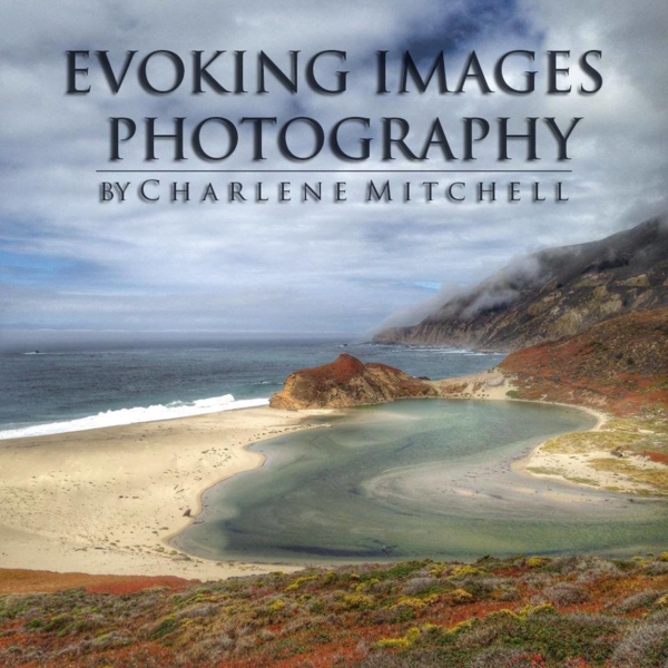 Charlene Mitchell - Official Website